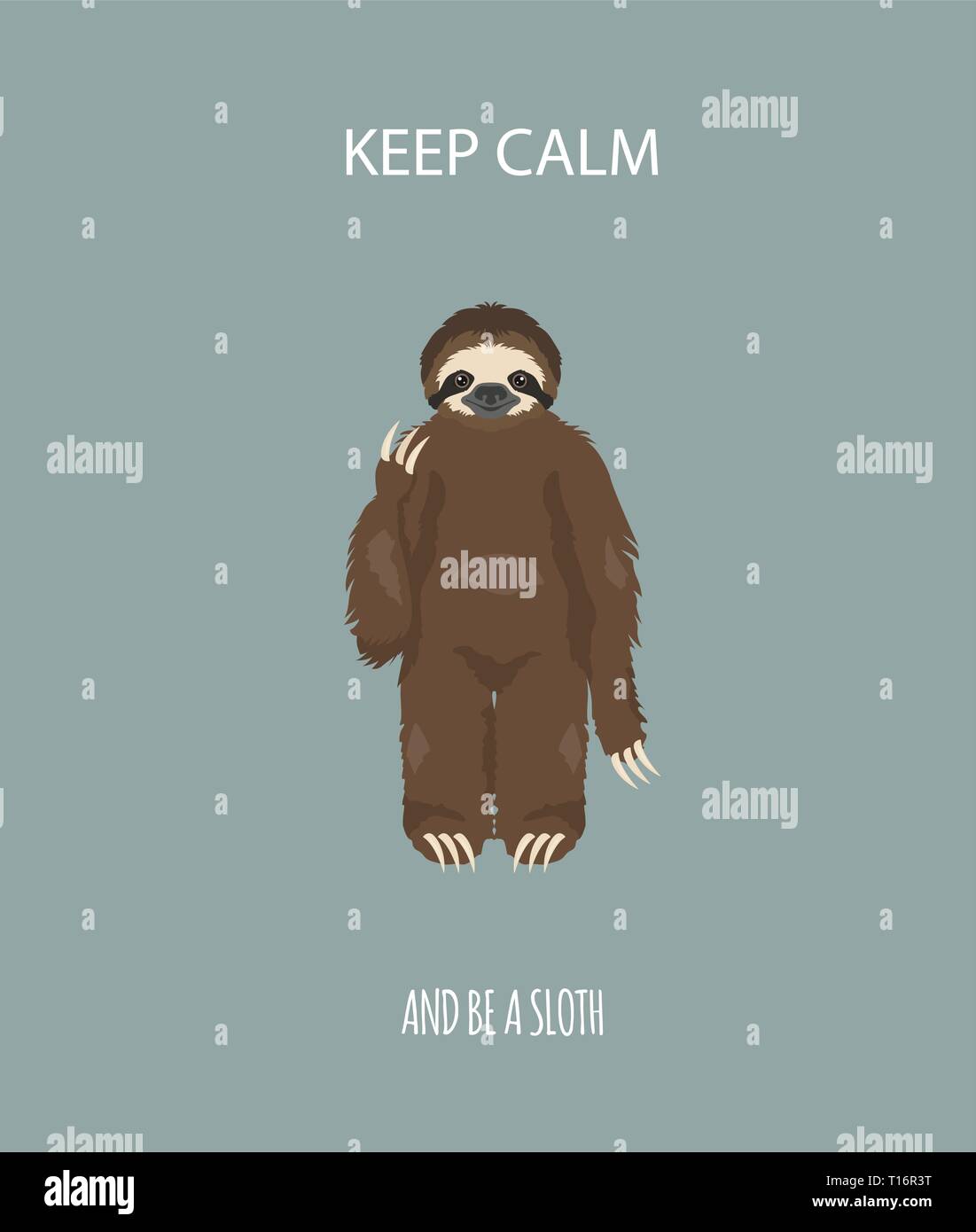 Sloth yoga collection. Funny cartoon animals in different postures set ...