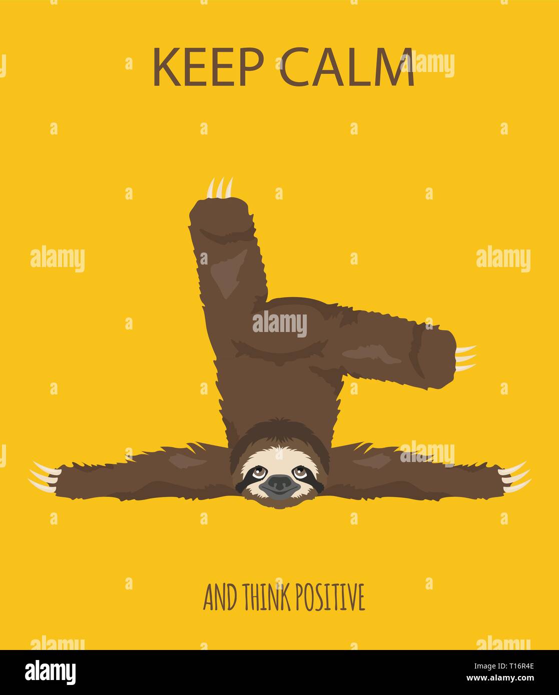 Sloth yoga collection. Funny cartoon animals in different postures set ...