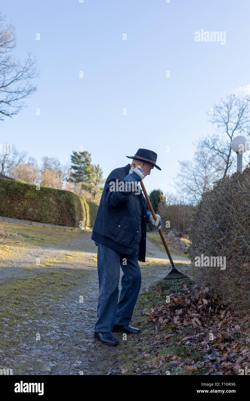 Old man raking fallen leaves in the garden, senior man gardening Stock ...