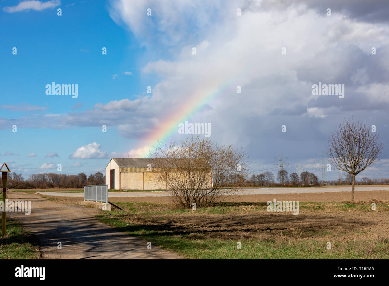 Pathway rainbow hi-res stock photography and images - Alamy
