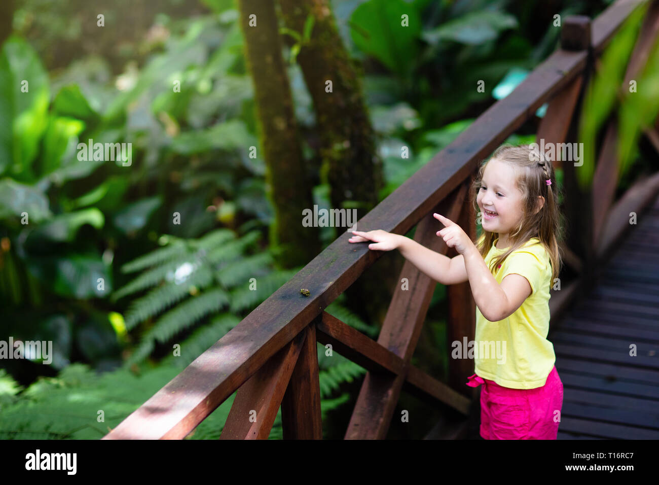 Little girl hiking in jungle. Child looking at wild orchid in tropical ...
