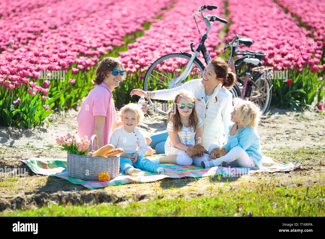 Family picnic at tulip flowers fields in Holland. Young mother and ...