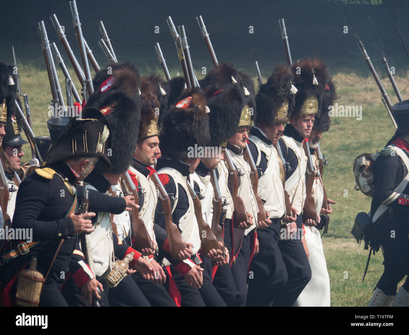 Imperial guard waterloo hi-res stock photography and images - Alamy