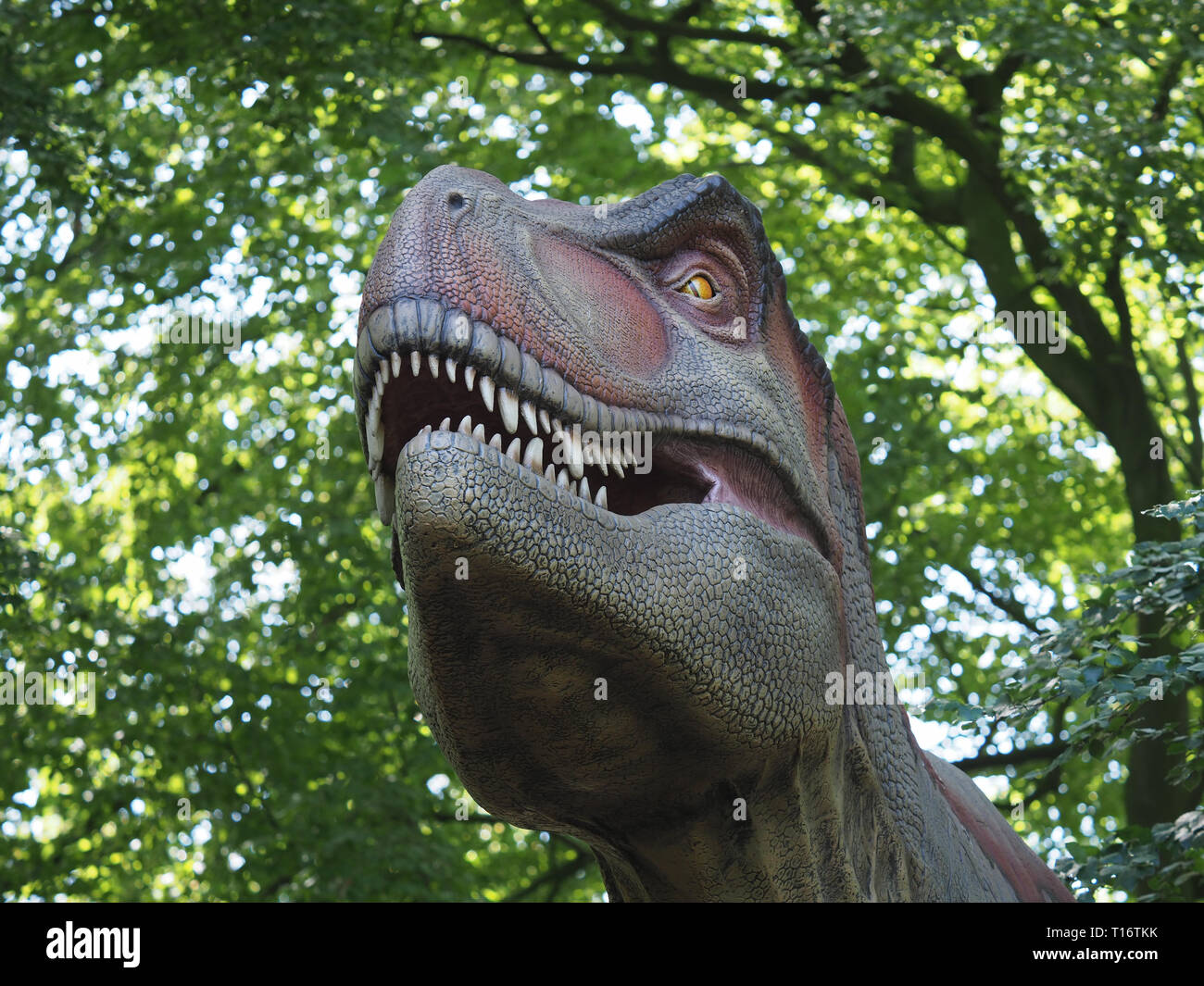 Jurassic park animatronic t rex hi-res stock photography and images - Alamy