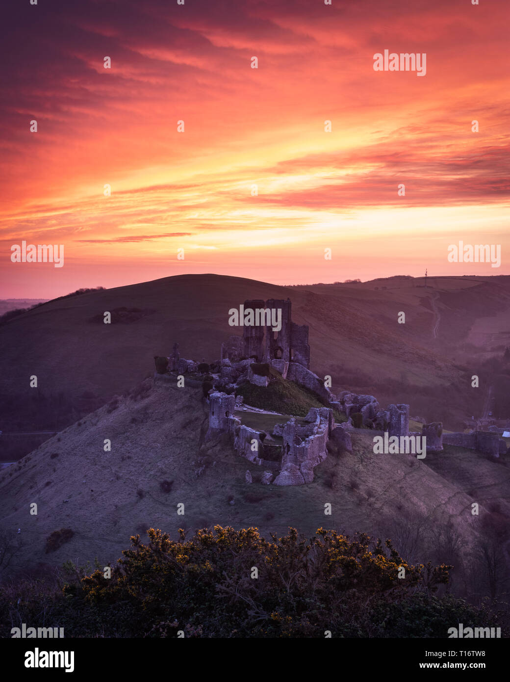 Red sunrise over Corfe castle, Dorset, UK Stock Photo - Alamy