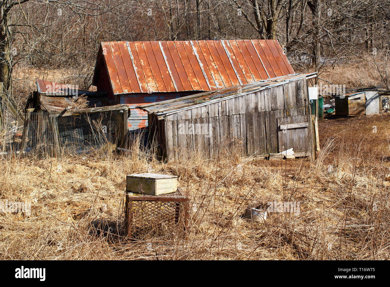Rustic wooden shack construction rural hi-res stock photography and ...