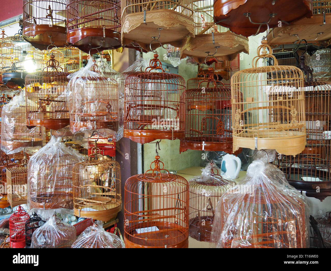 Birds in wooden cages offered hi-res stock photography and images - Alamy