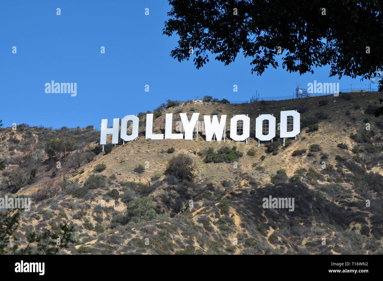 Los angeles palm trees hollywood sign hi-res stock photography and ...