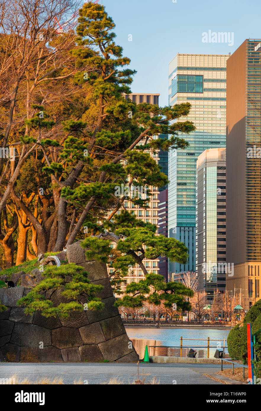 Japan between tradition and modernity. City center modern buildings in front of Tokyo Castle old ...
