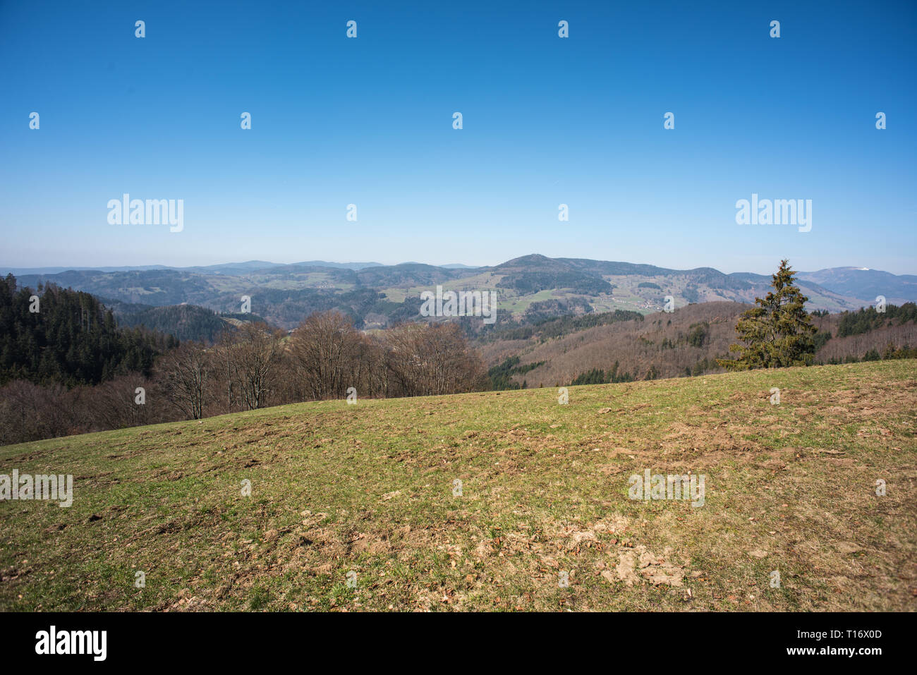 nature landscape in southern germany Stock Photo - Alamy
