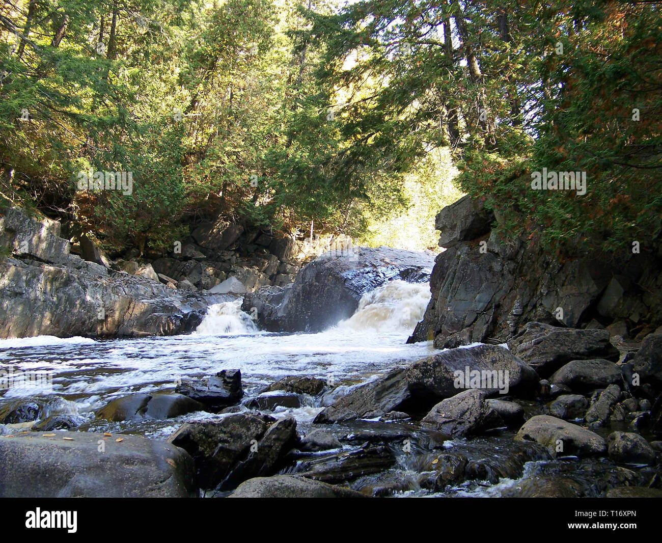 River rapids steam white water trees hi-res stock photography and ...
