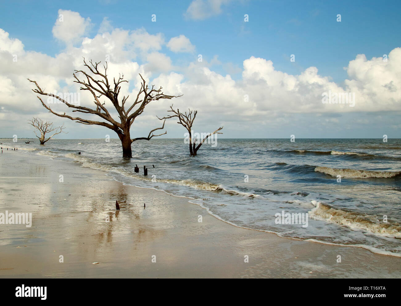 Botany Bay Plantation Heritage Preserve High Resolution Stock ...