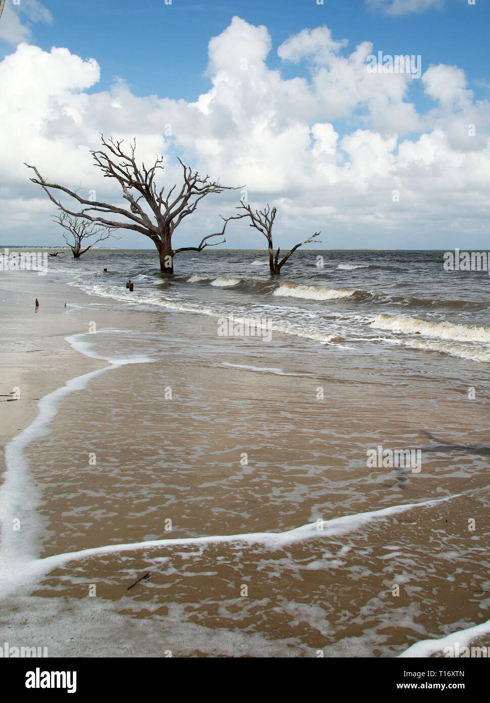 Botany bay plantation heritage preserve hi-res stock photography and ...