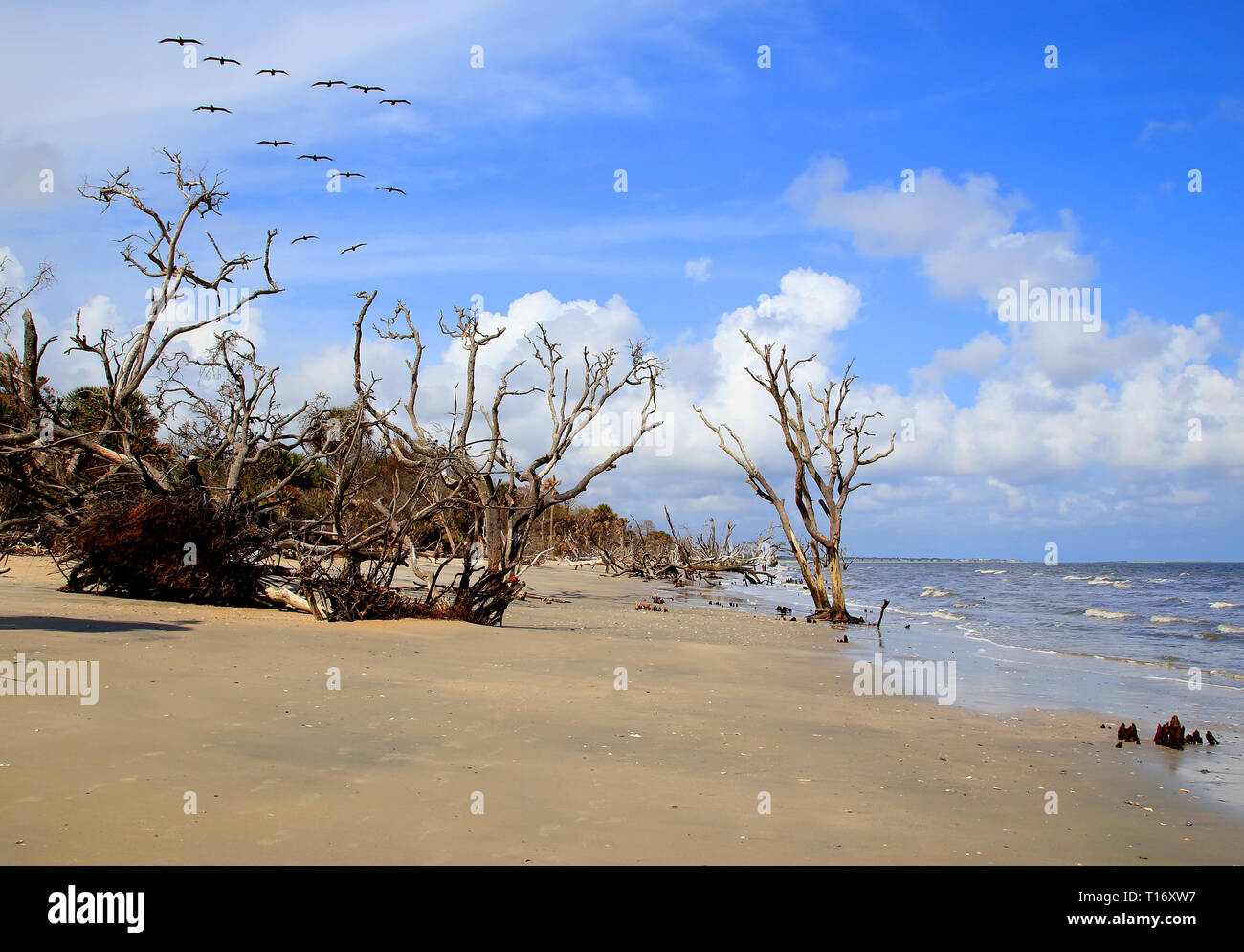 Botany bay plantation heritage preserve hi-res stock photography and ...