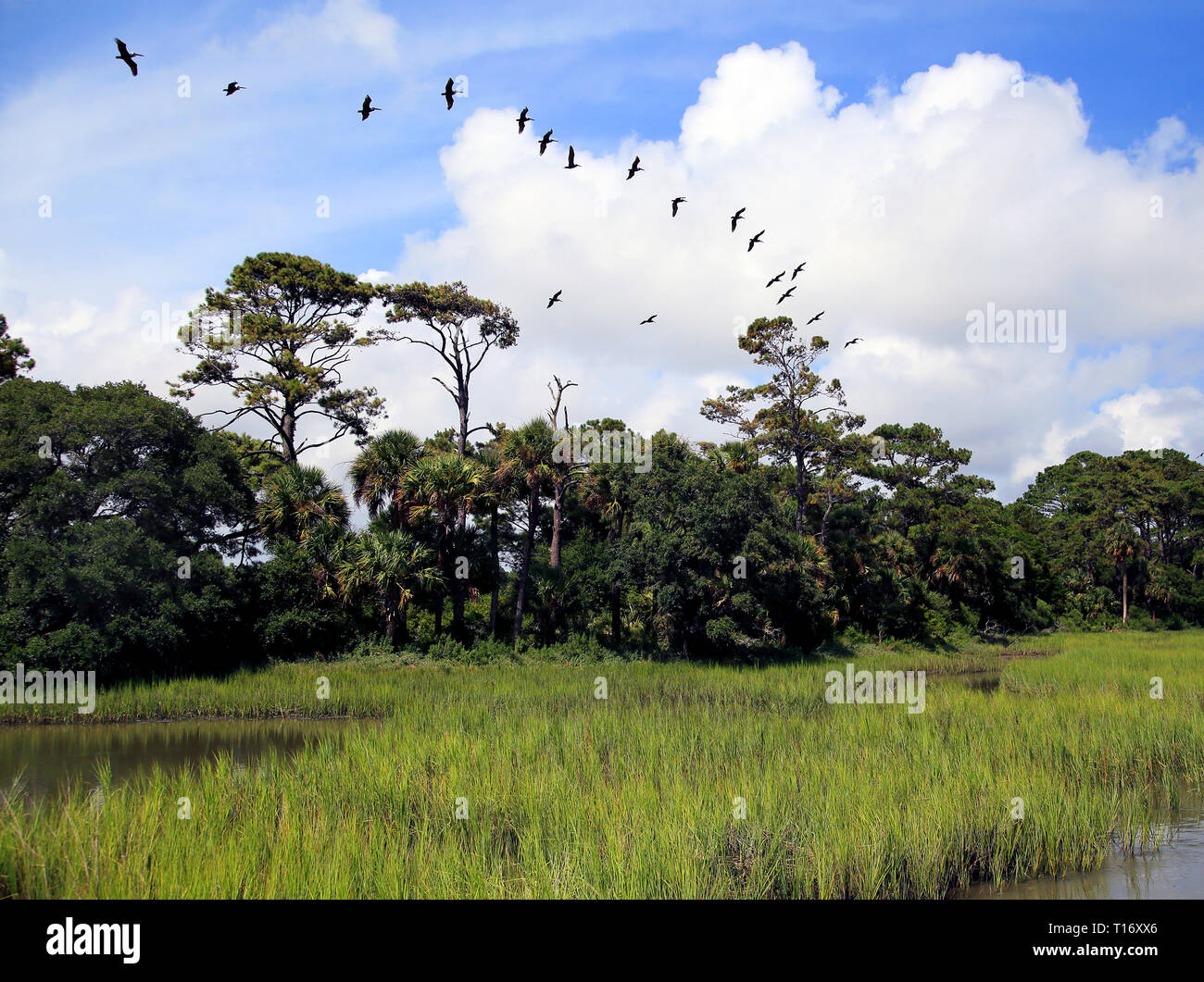 Botany Bay Plantation Heritage Preserve High Resolution Stock ...