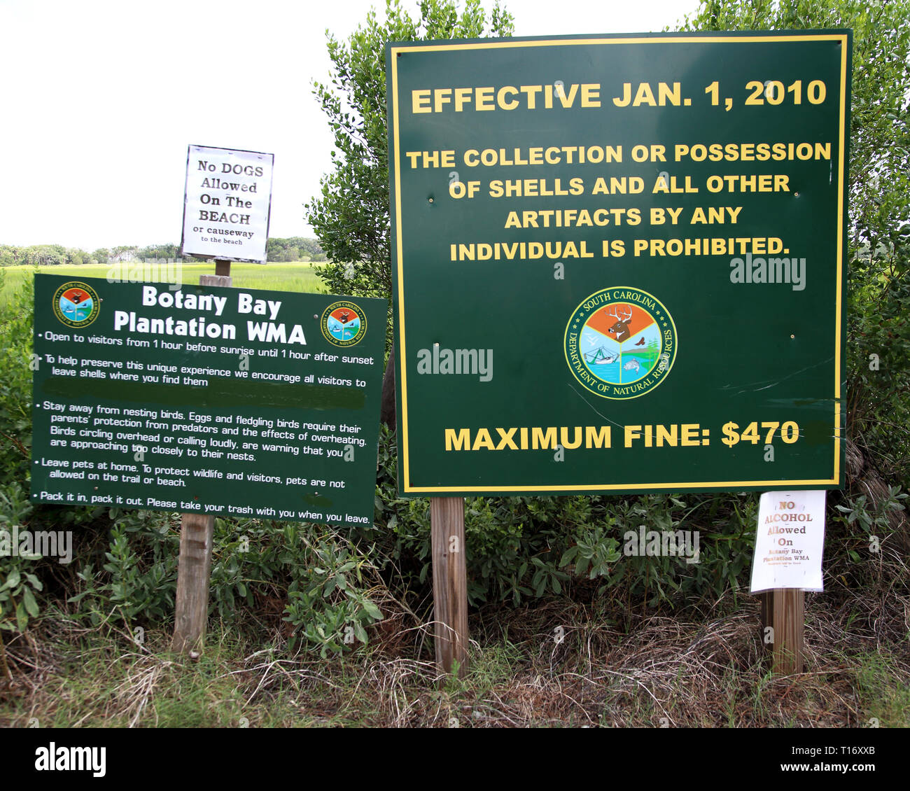 Botany bay plantation heritage preserve hi-res stock photography and ...