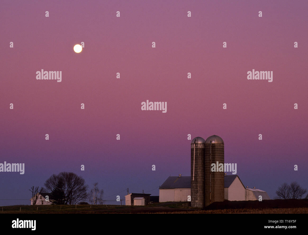 White Amish farm at dusk, moon, Lancaster Co., rural Pennsylvania, USA ...