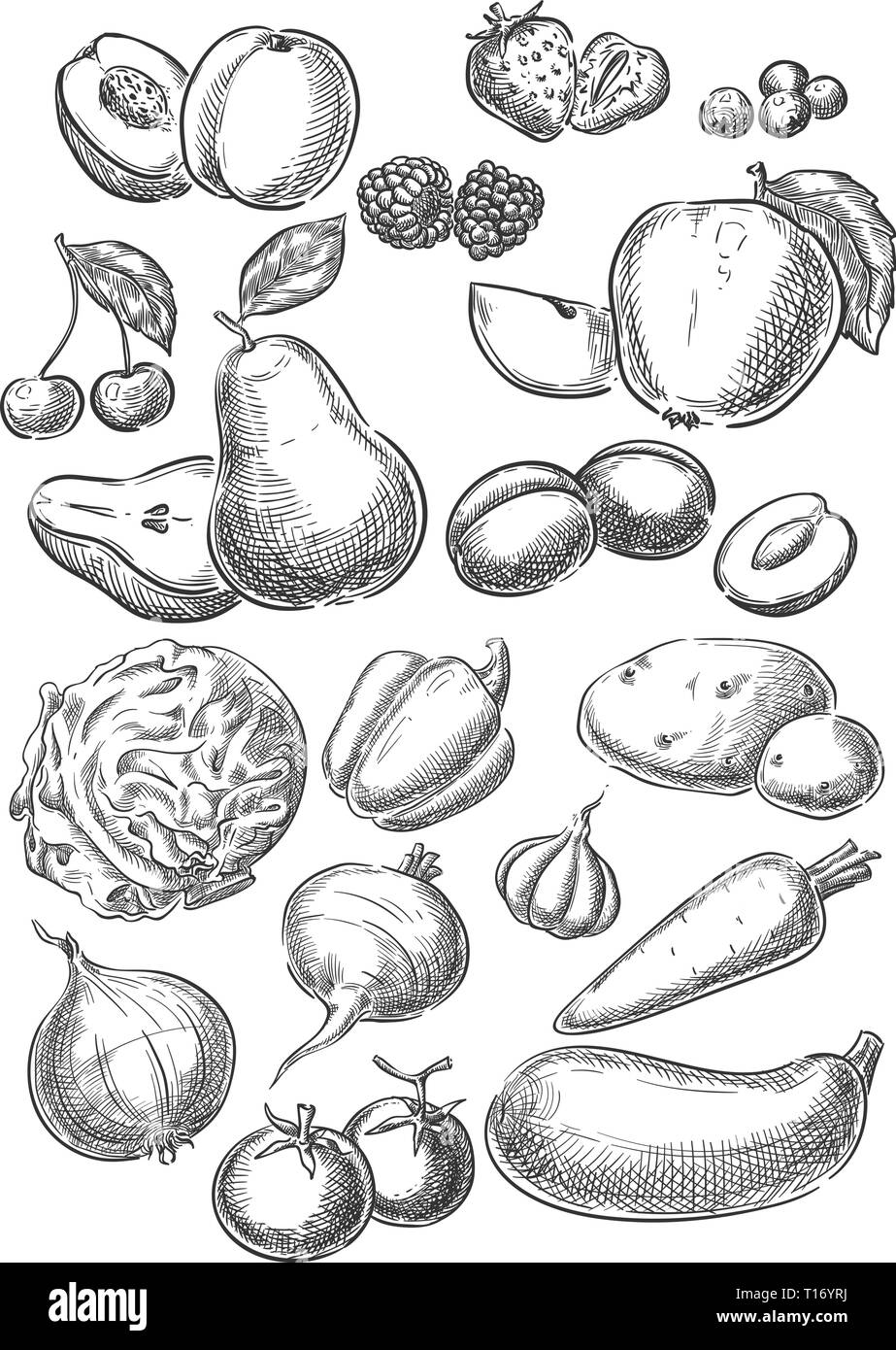 Creative Conceptual Vector Set Sketch Hand Drawn Fruits Vegetables Pear Cherry Apple Strawberry