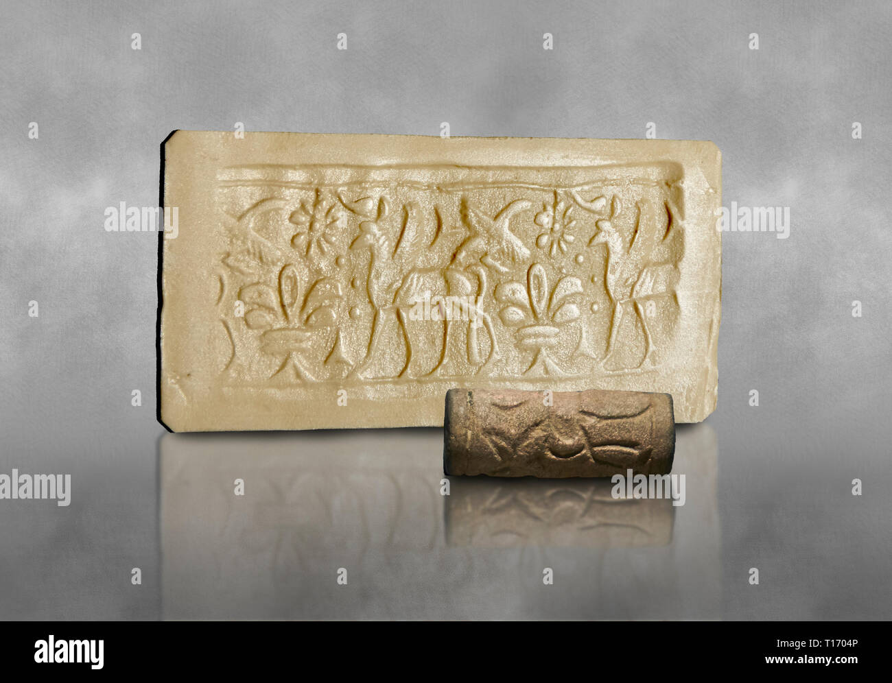 Cylinder seals hi-res stock photography and images - Alamy