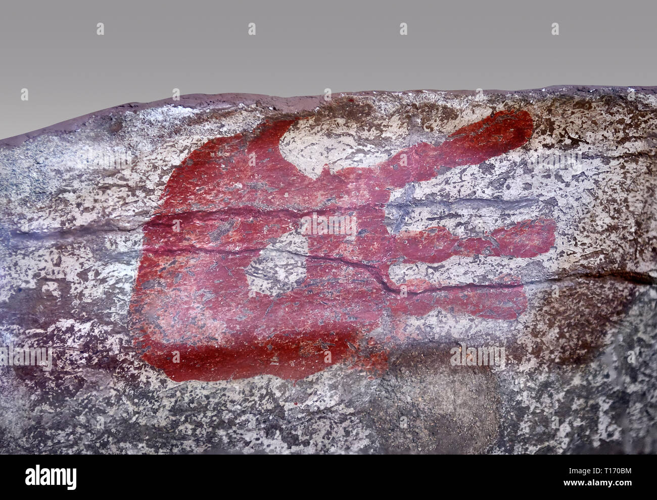 5000 bc hi-res stock photography and images - Alamy