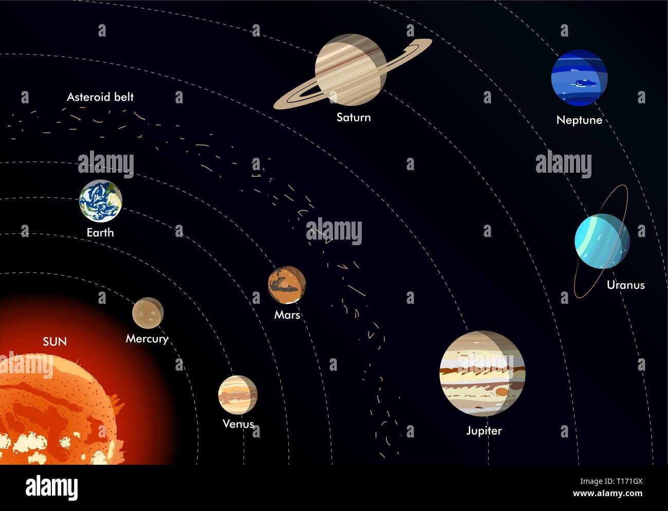 Model of Solar system, vector illustration Stock Vector Image & Art - Alamy