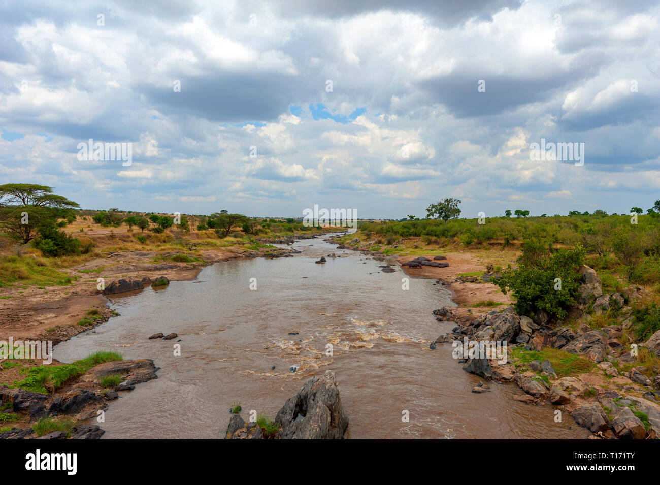 Beautiful africa scenic safari hi-res stock photography and images - Alamy