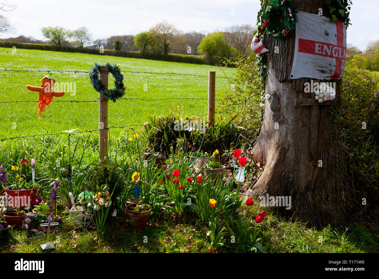 Road Accident Victims High Resolution Stock Photography and Images - Alamy