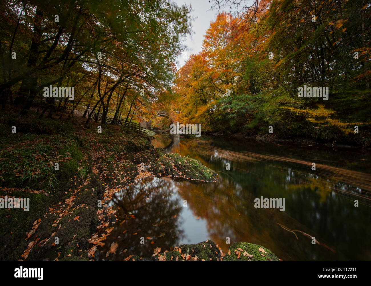 Holne Bridge is a Grade II* listed medieval bridge over the River Dart ...