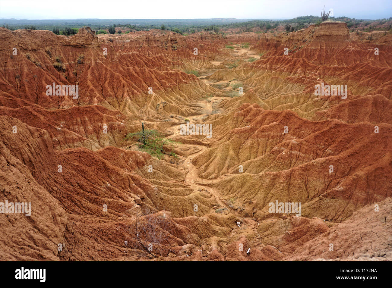 Tatacoa Desert Panorama, Colombia Stock Photo - Alamy