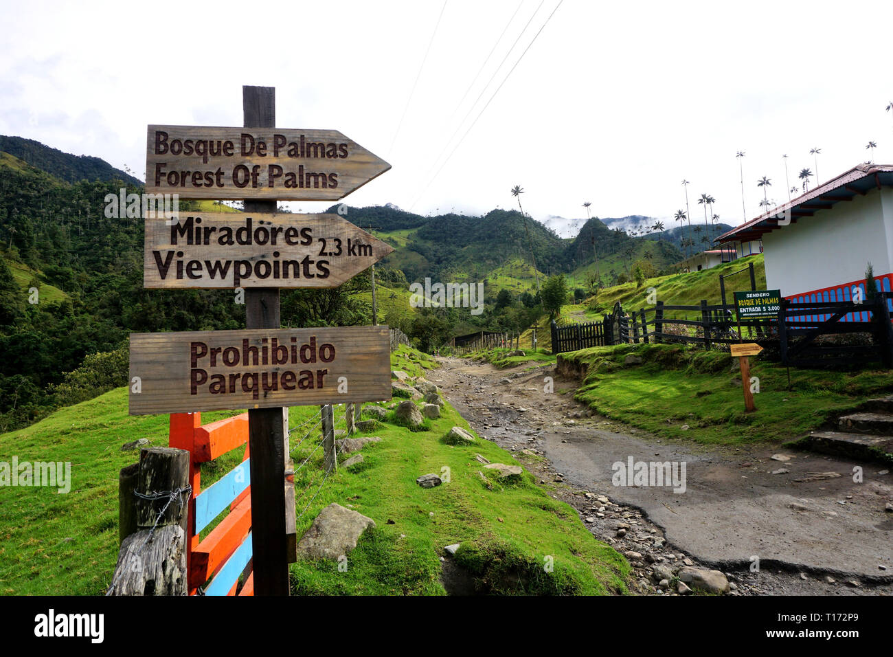 Wooden Signpost to Scenic Lookouts in Cocora Valley, Salento, Colombia ...
