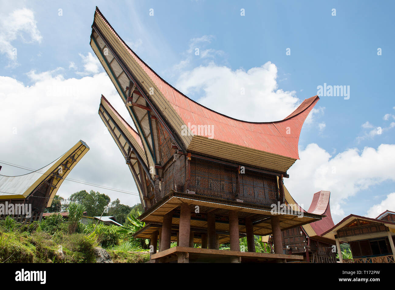 Tongkonan houses, traditional Torajan buildings, Tana Toraja is the ...