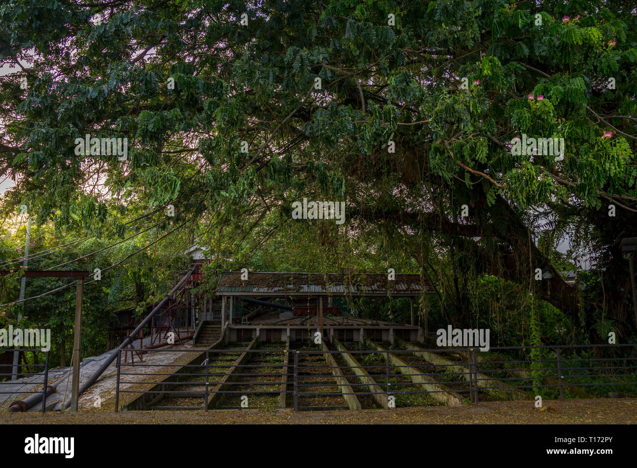 Kinta River, Ipoh, Perak, Malaysia Stock Photo - Alamy