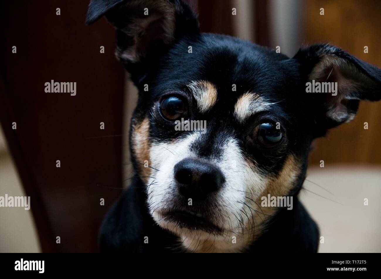 Curious look hi-res stock photography and images - Alamy