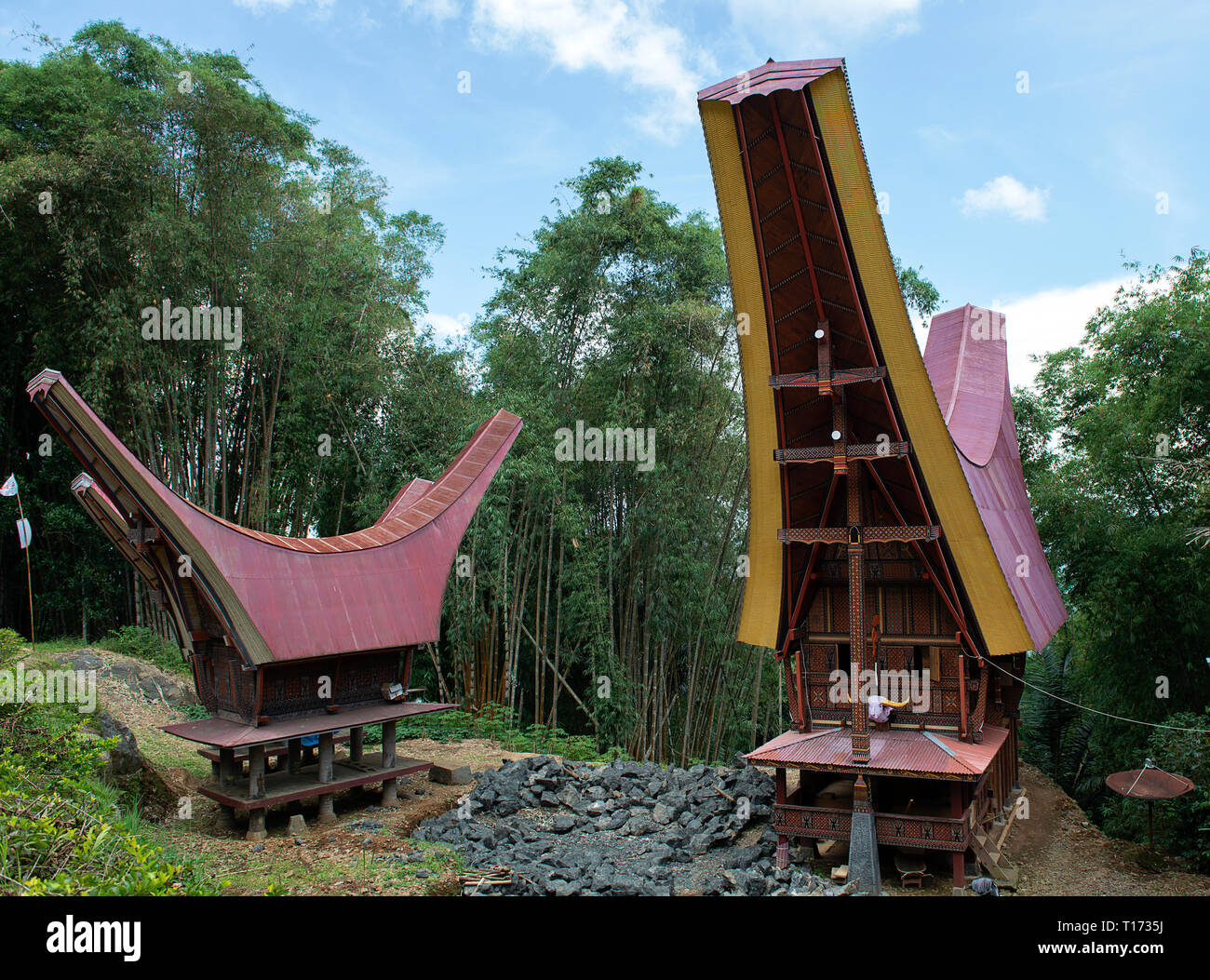 Tongkonan houses, traditional Torajan buildings, Tana Toraja is the ...