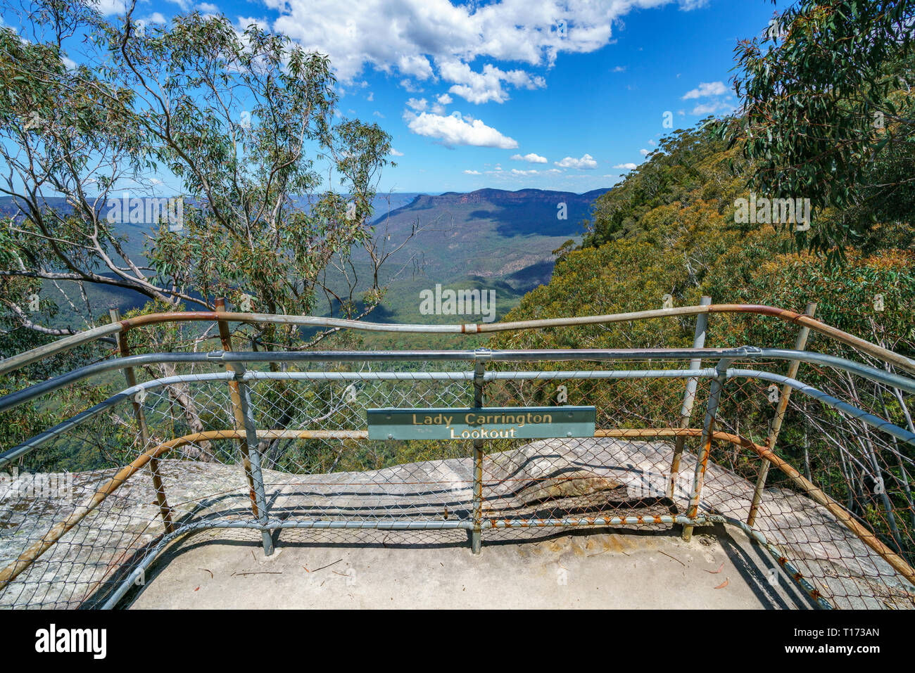 hiking the prince henry cliff walk, blue mountains national park ...