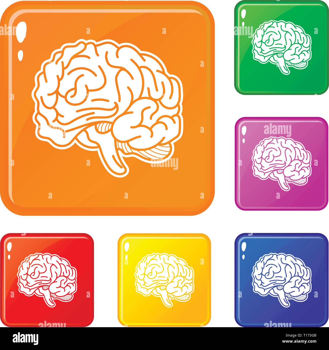 Genius brain icons set vector color Stock Vector Image & Art - Alamy