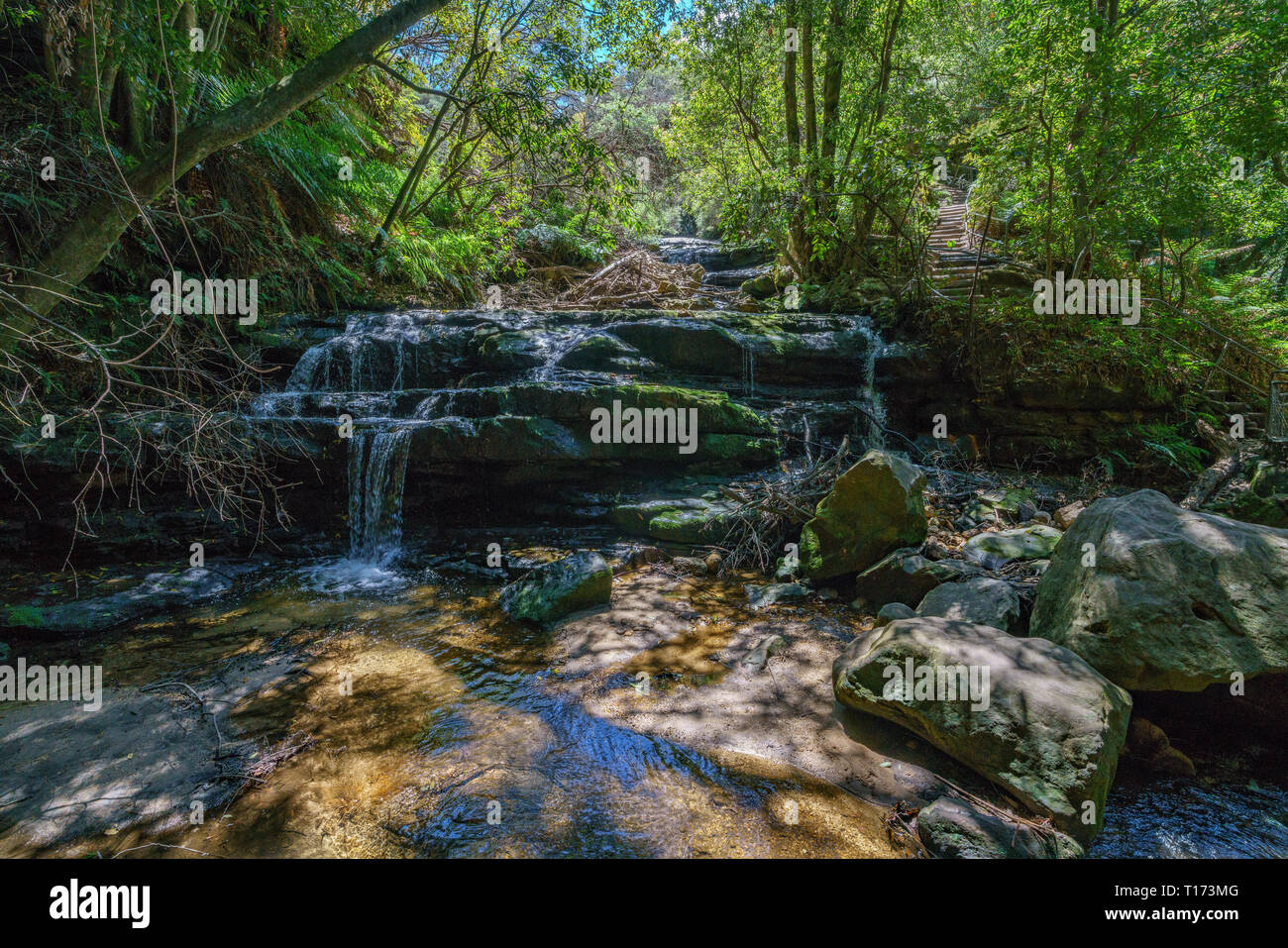 hiking the leura cascades walking track, blue mountains national park ...