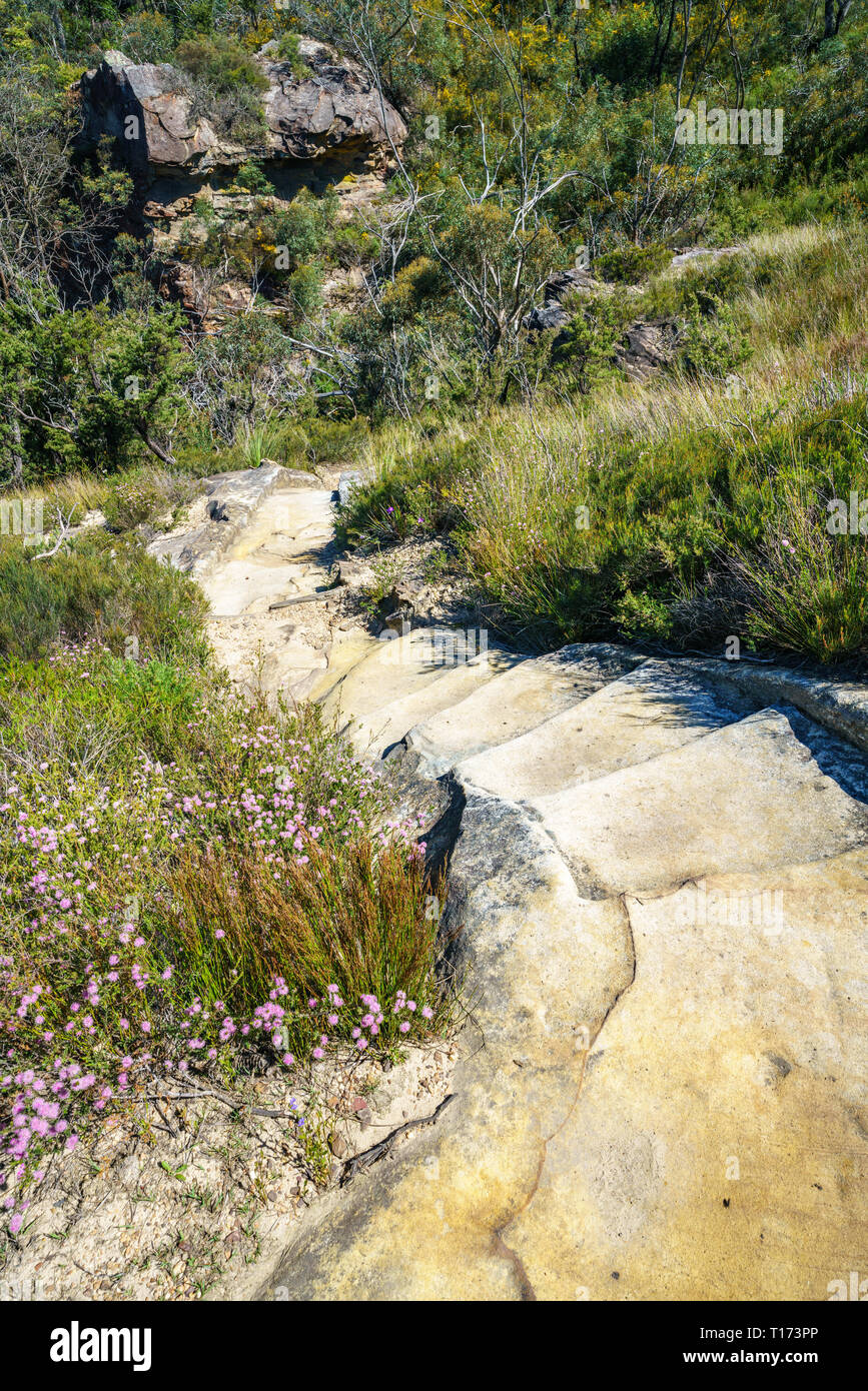 hiking the prince henry cliff walk, blue mountains national park ...