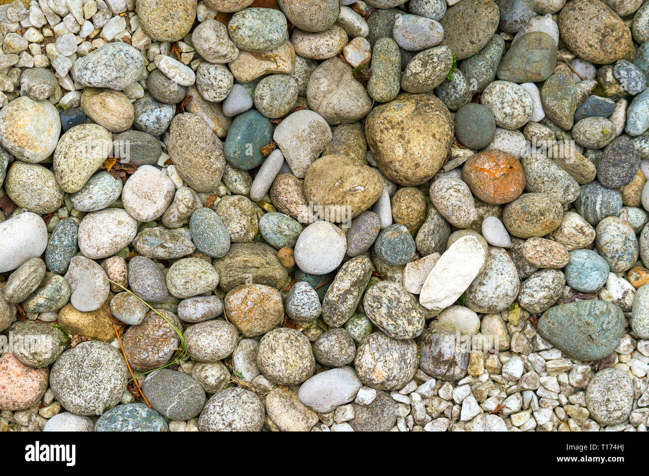 colorful small pebble and stone for background texture Stock Photo - Alamy