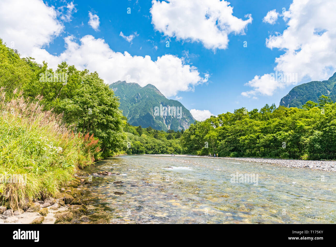 River and Summer Forest Landscape,Pathway at Kamikochi in Japan Stock ...