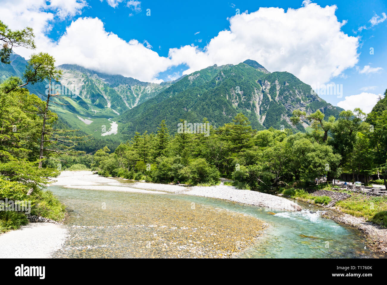 River and Summer Forest Landscape,Pathway at Kamikochi in Japan Stock ...