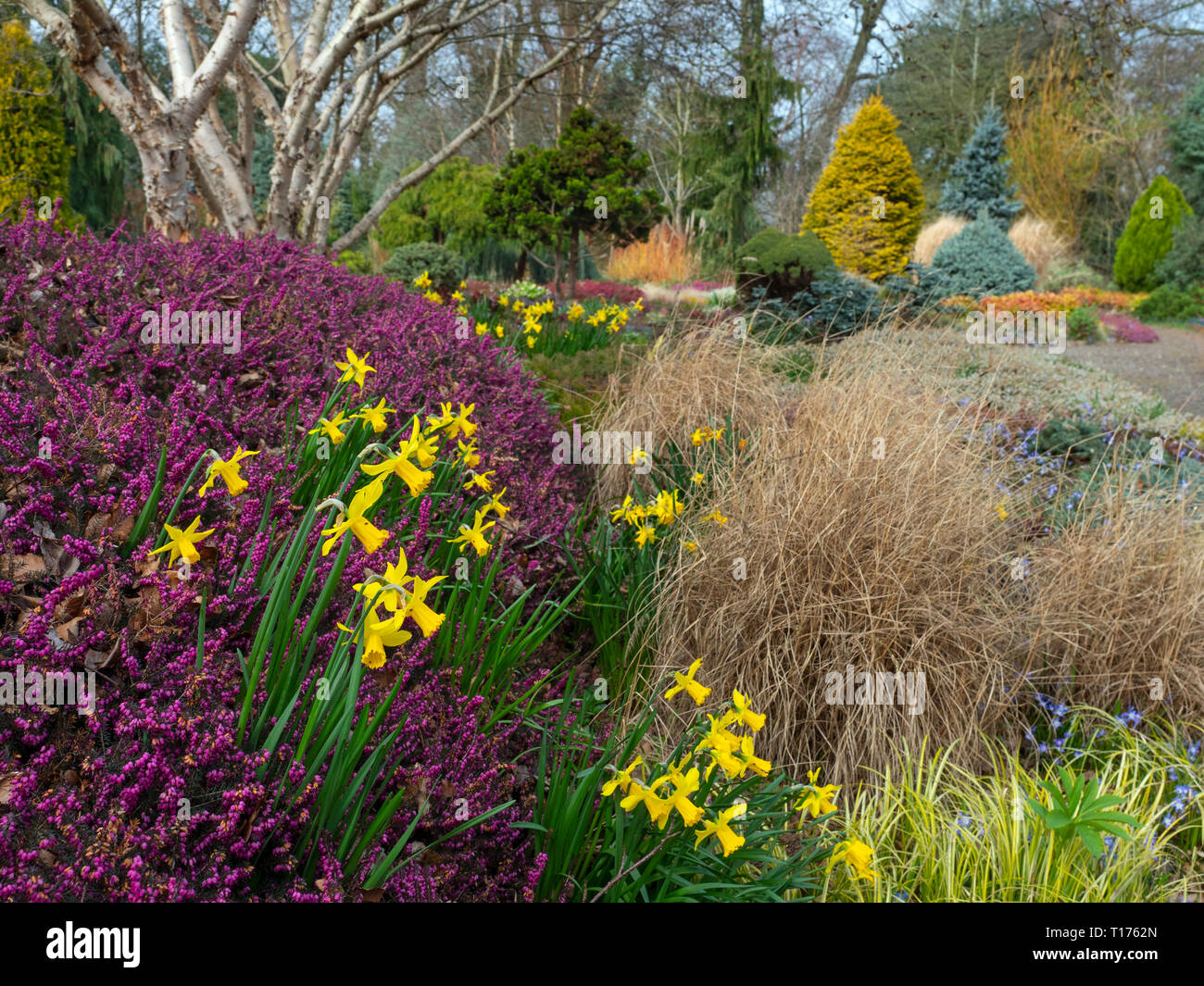 Bressingham gardens hi-res stock photography and images - Alamy