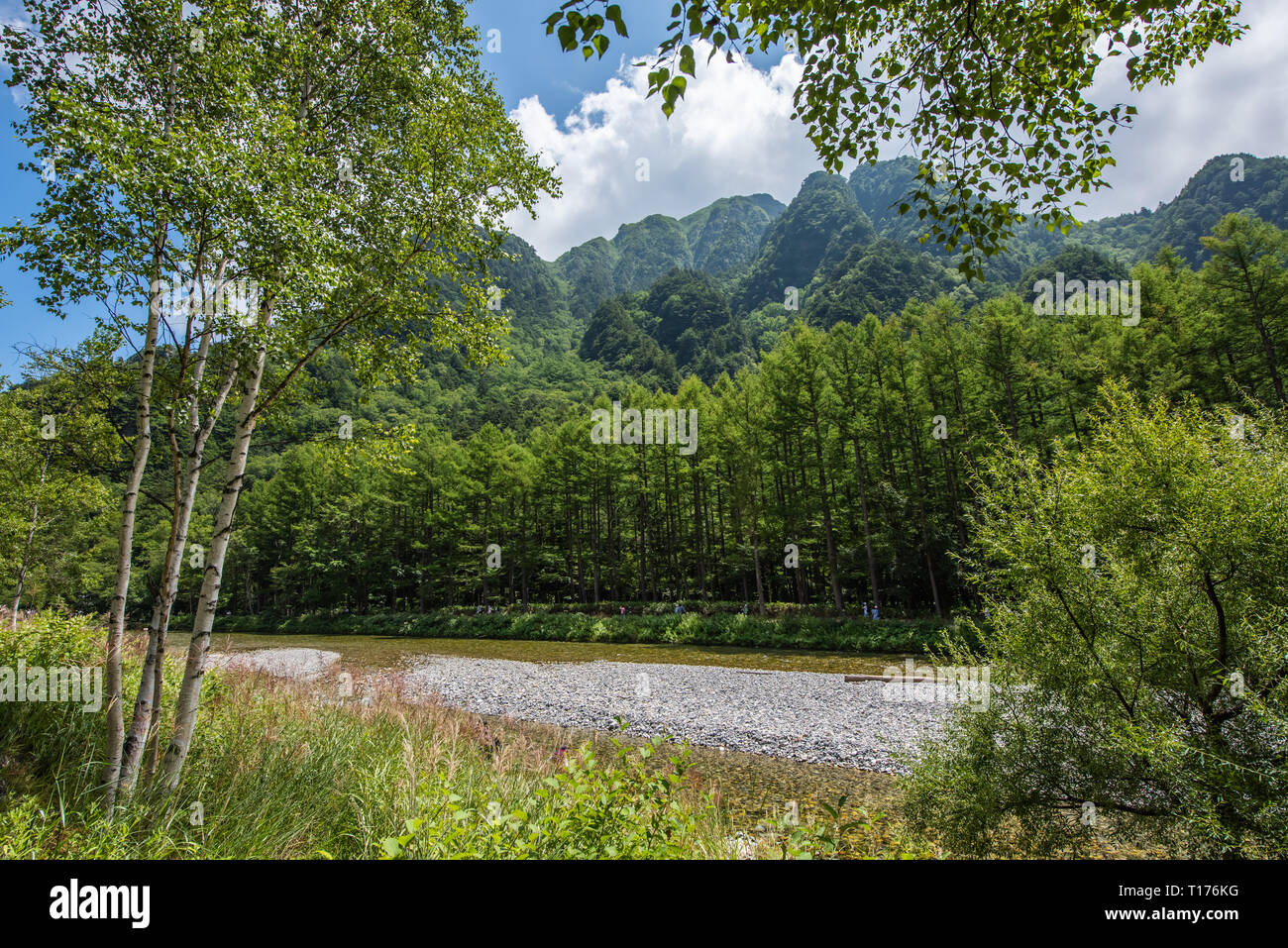 River and Summer Forest Landscape,Pathway at Kamikochi in Japan Stock ...
