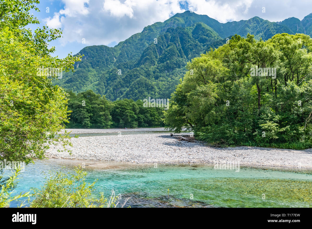 River and Summer Forest Landscape,Pathway at Kamikochi in Japan Stock ...