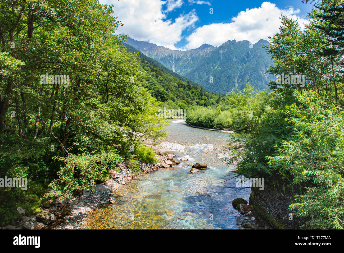 River and Summer Forest Landscape,Pathway at Kamikochi in Japan Stock ...