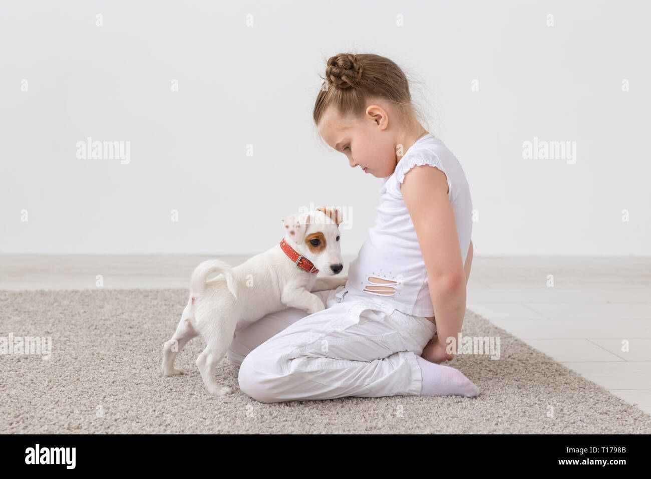 Pet, children and animal concept - child girl sitting on the floor and ...