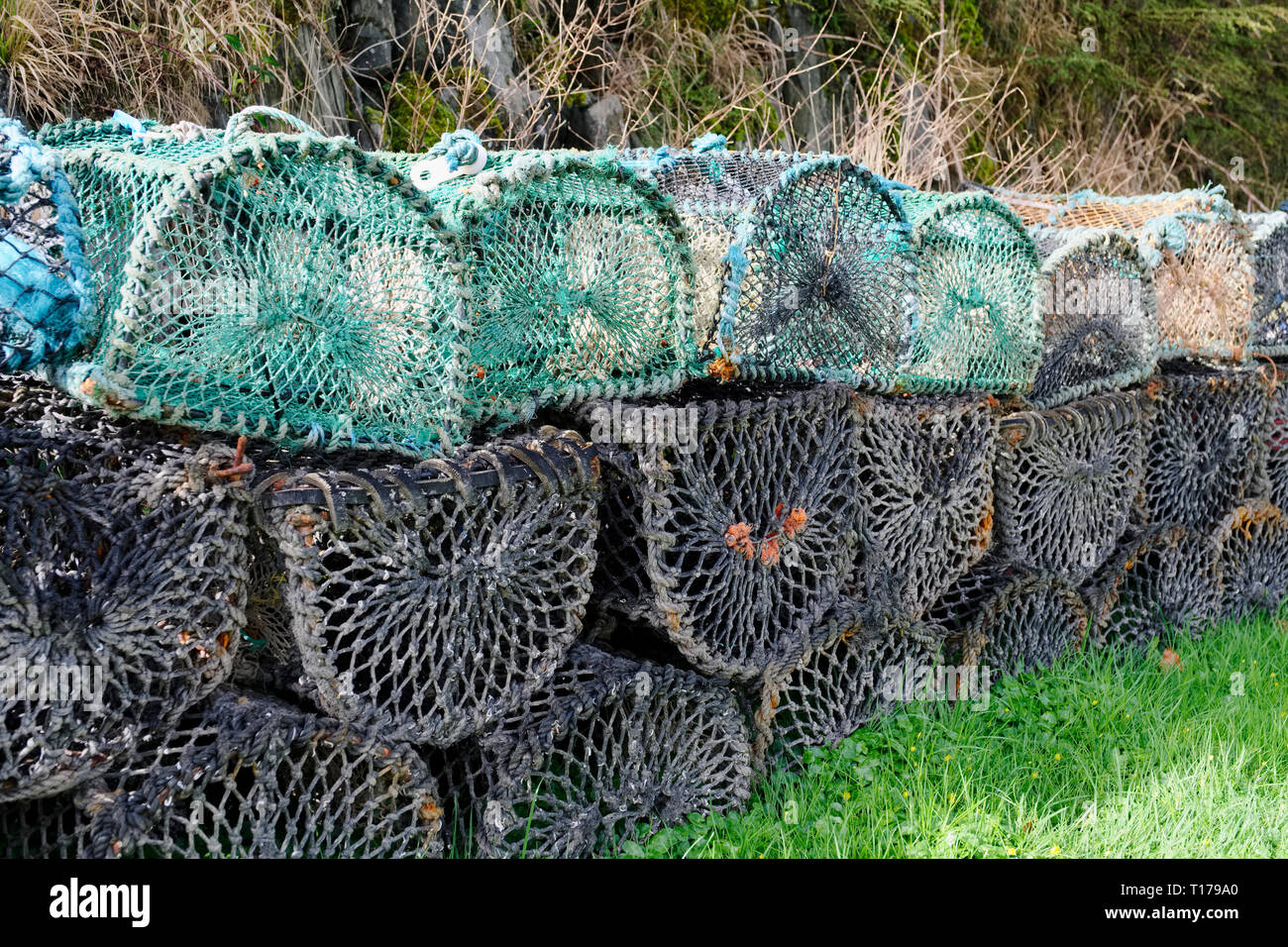 Shellfish baskets hi-res stock photography and images - Alamy