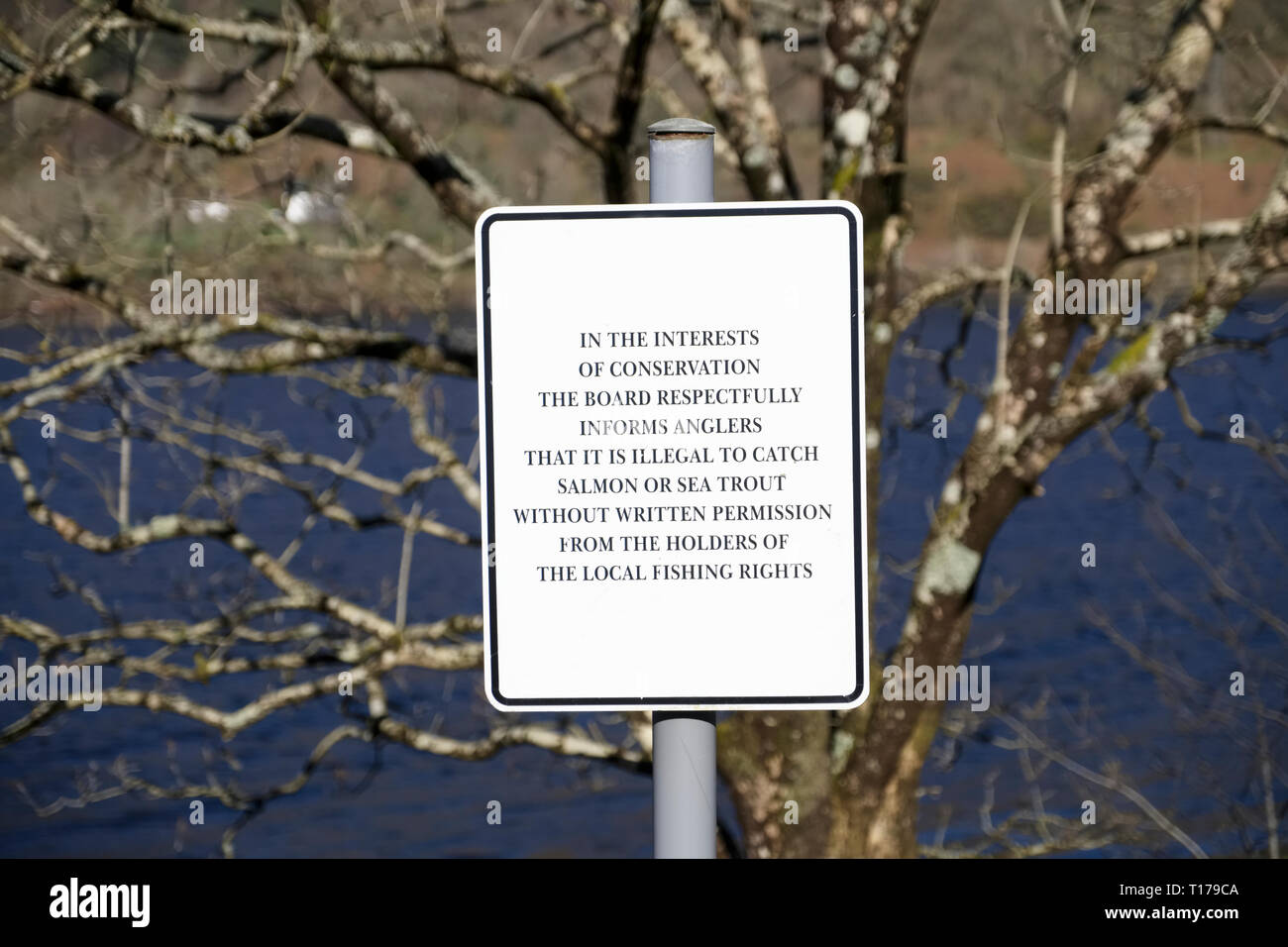 Fishing illegal to catch salmon and trout in freshwater river sign ...