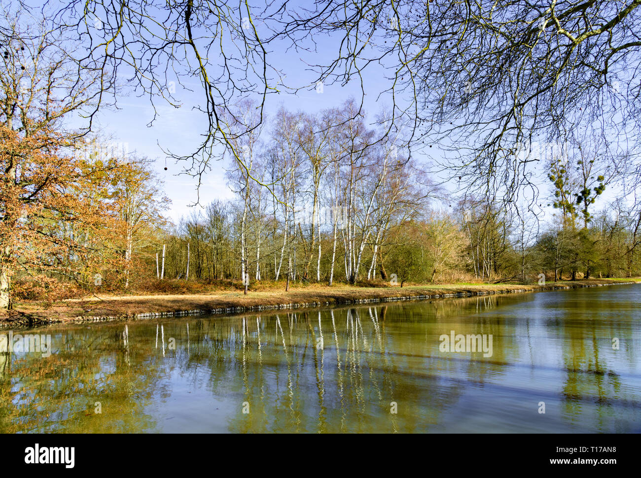 Rambouillet hi-res stock photography and images - Alamy