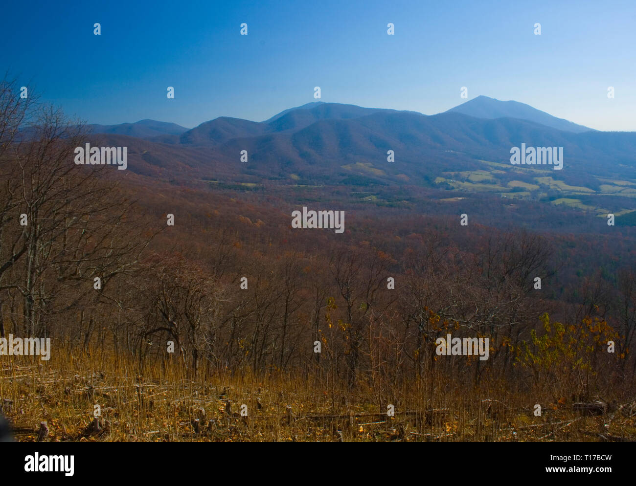 Peaks of otter hi-res stock photography and images - Alamy